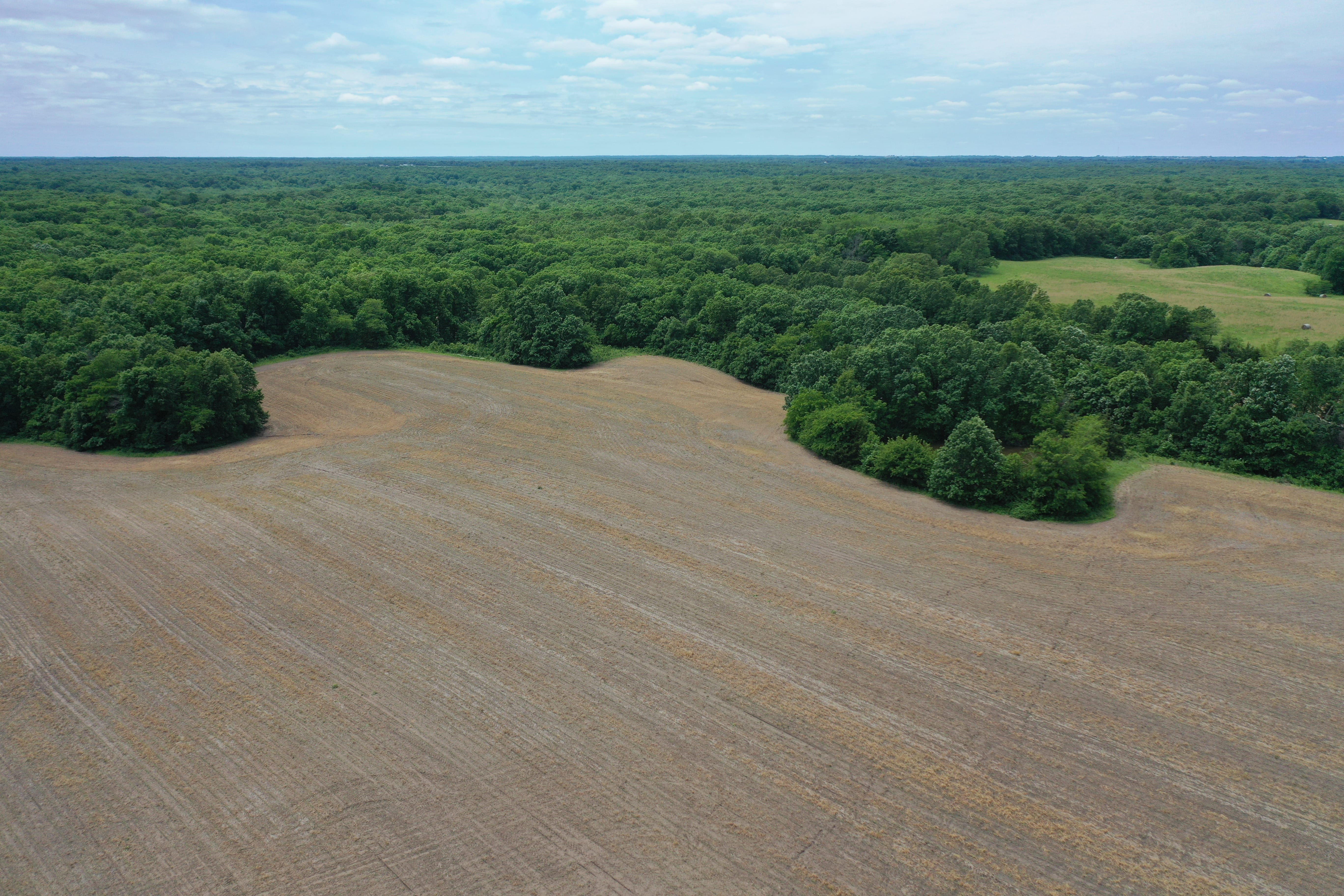 78 ACRES - RANDOLPH COUNTY, MISSOURI TILLABLE/HUNTING/BUILDINGS SITE ...