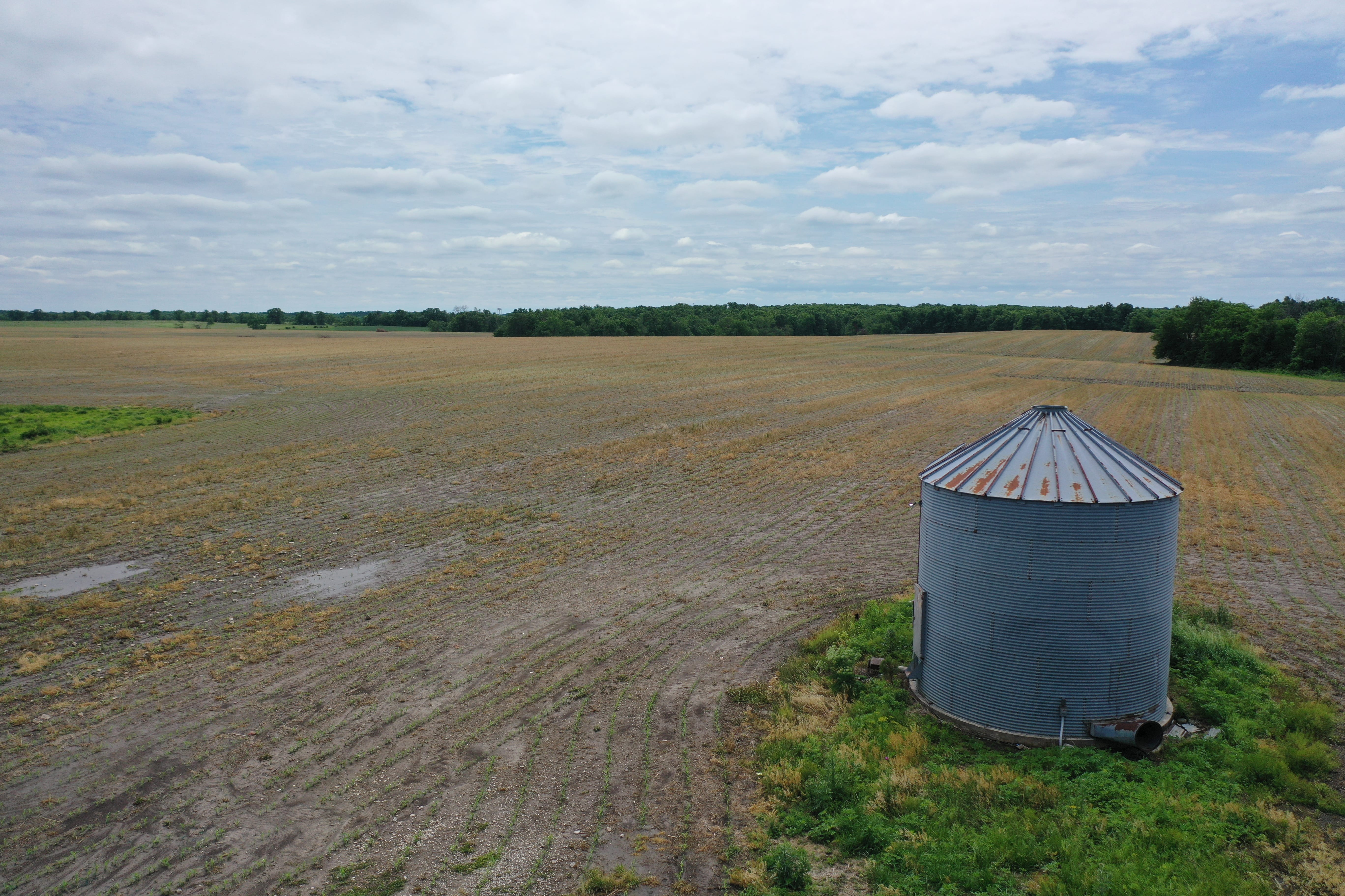 78 ACRES - RANDOLPH COUNTY, MISSOURI TILLABLE/HUNTING/BUILDINGS SITE ...