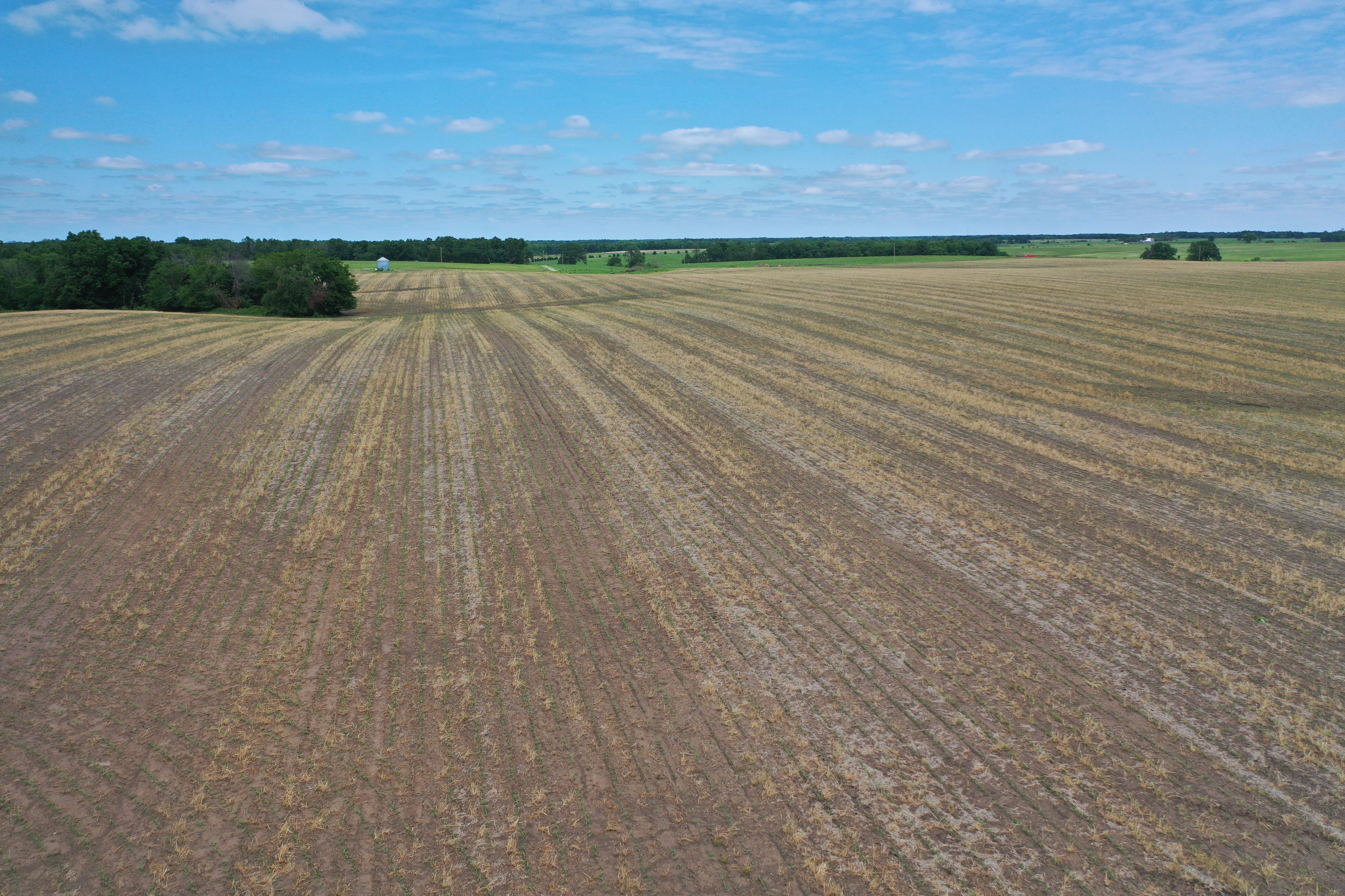 78 ACRES - RANDOLPH COUNTY, MISSOURI TILLABLE/HUNTING/BUILDINGS SITE ...