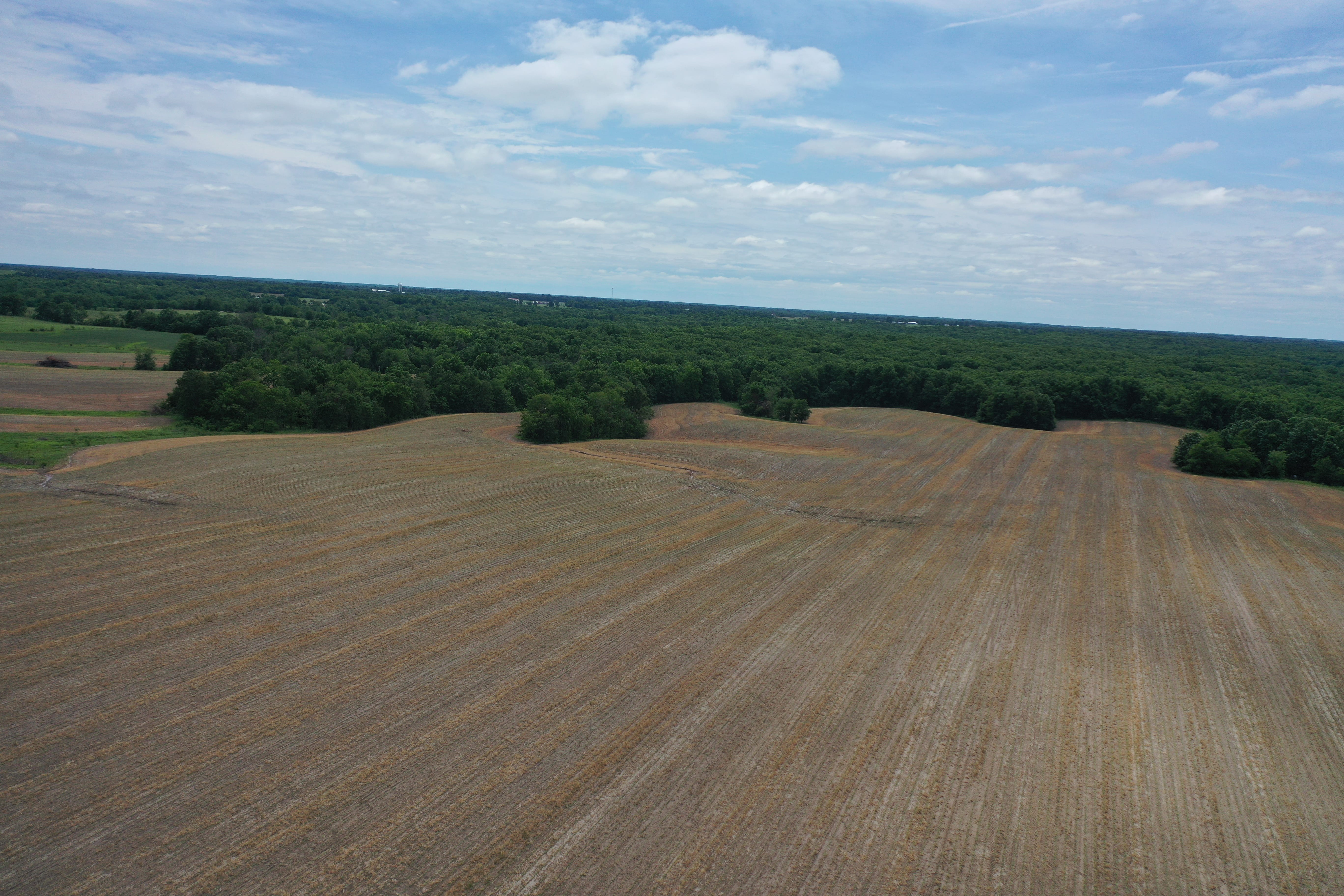 78 ACRES - RANDOLPH COUNTY, MISSOURI TILLABLE/HUNTING/BUILDINGS SITE ...